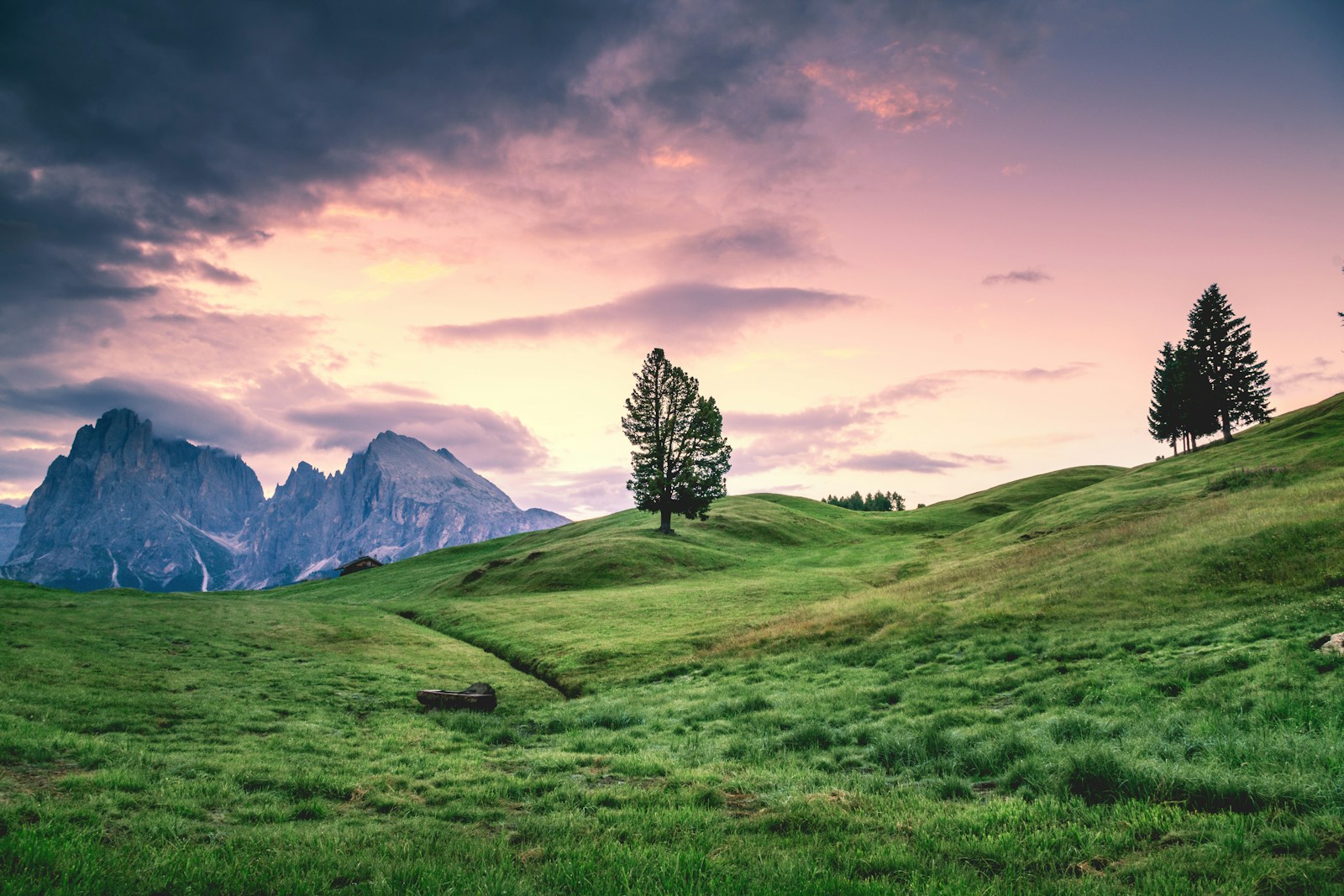 Tosamaidan trek 1 - sst tours kashmir